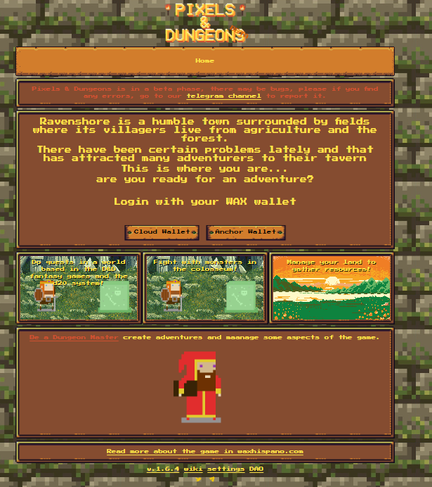 Meet the project Pixels & Dungeons