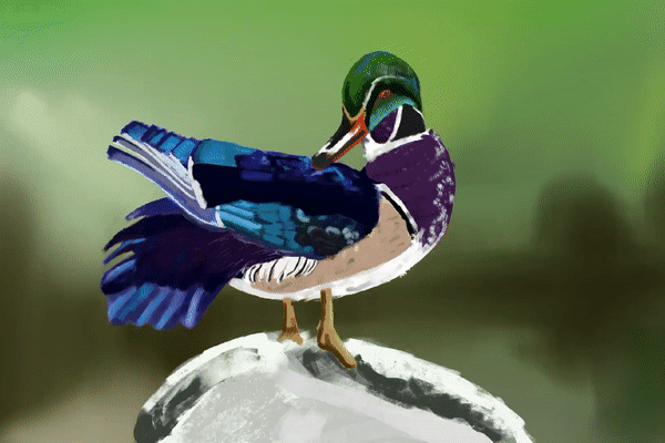 Meet the artist behind Timberlandia and Kylin creates.