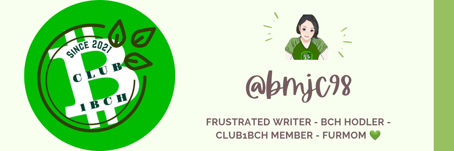 The Bull Is Awake And So Are My Wallets